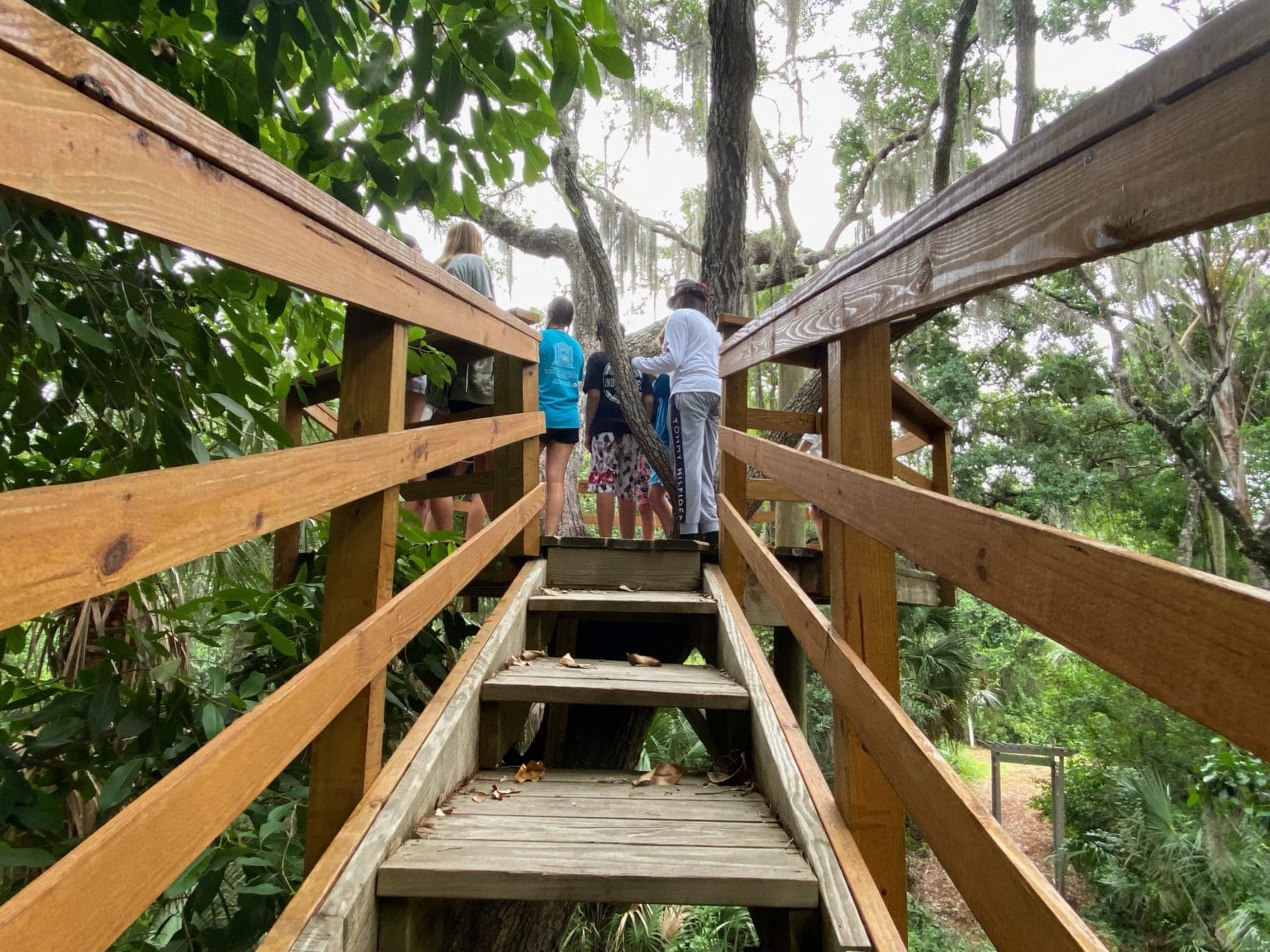 Canopy & Ropes - DaySpring Camp and Conference Center Florida