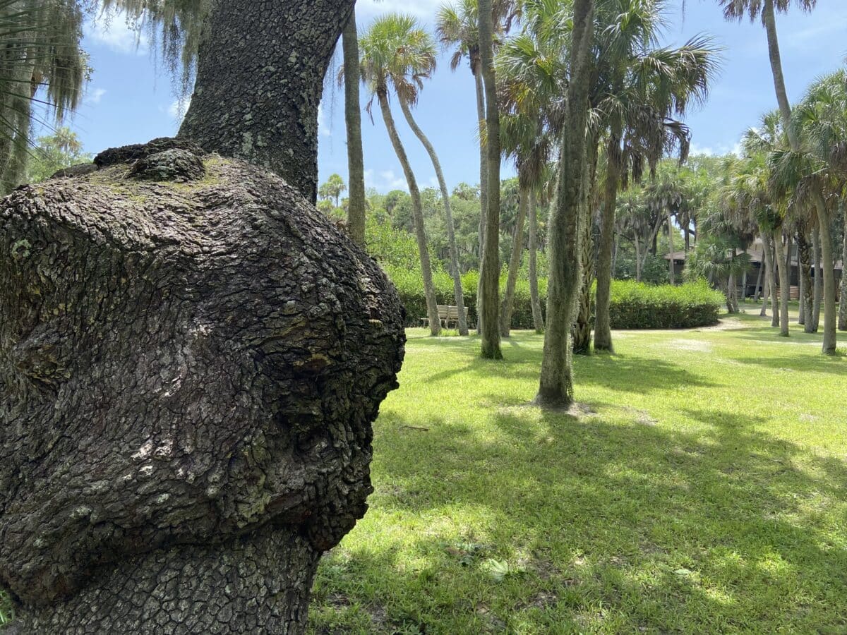 Jobs - DaySpring Camp and Conference Center Florida